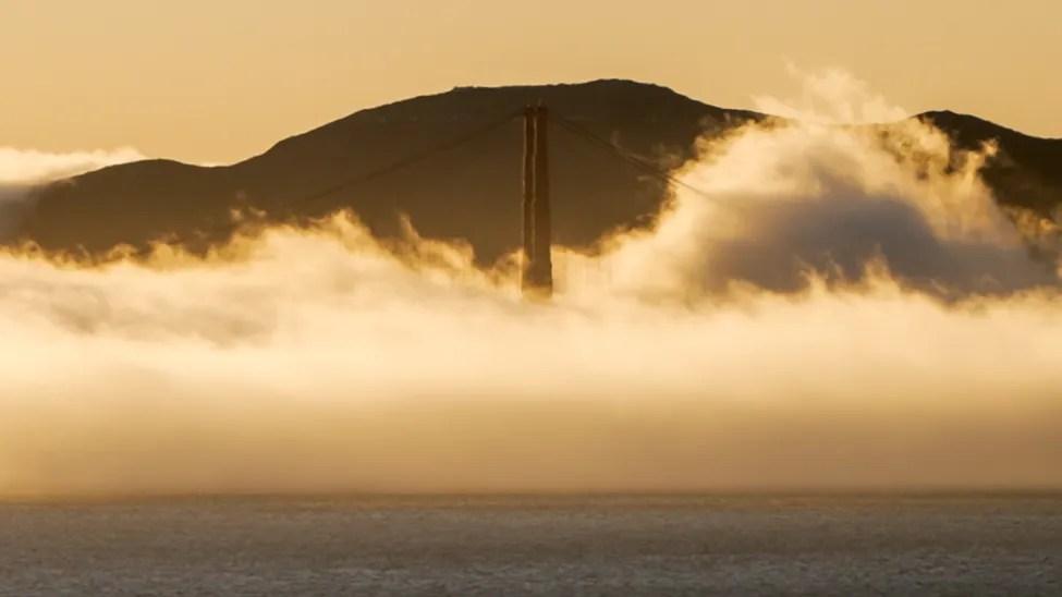 Why The Fog In The Bay Area Is So Important