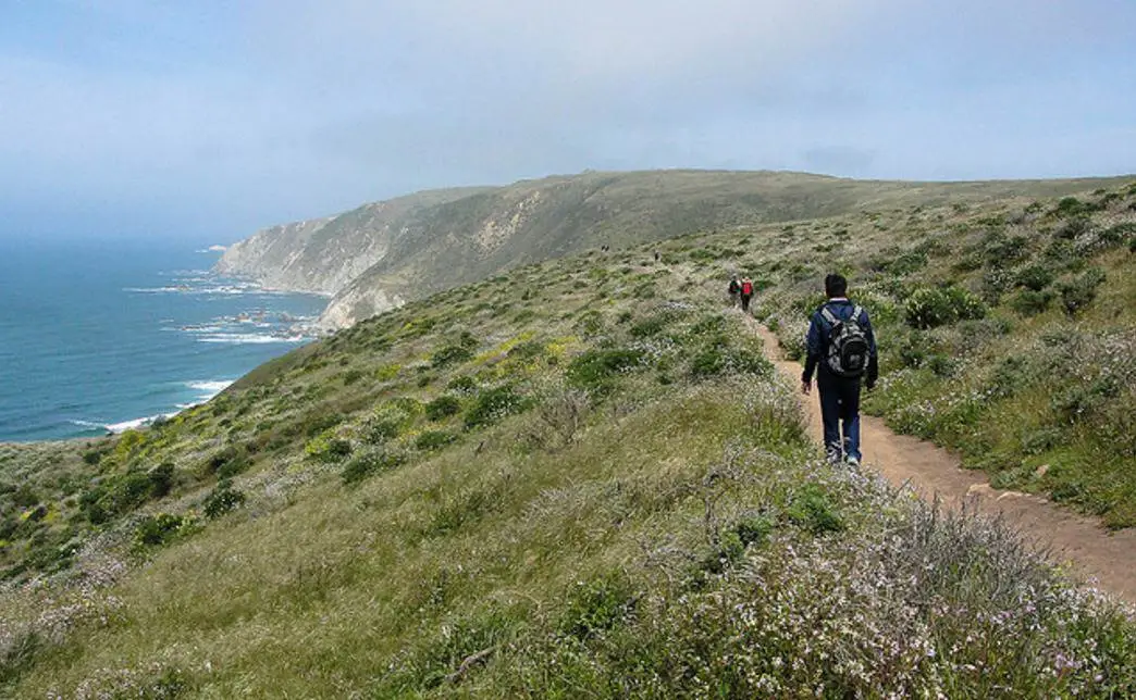 Best Hiking Trails in the Bay Area